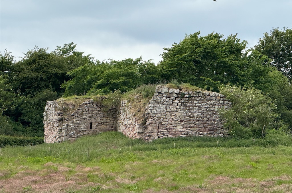 Discover Wallace’s Tower: A 16th-Century Ruin in Scotland – Thistle & Time